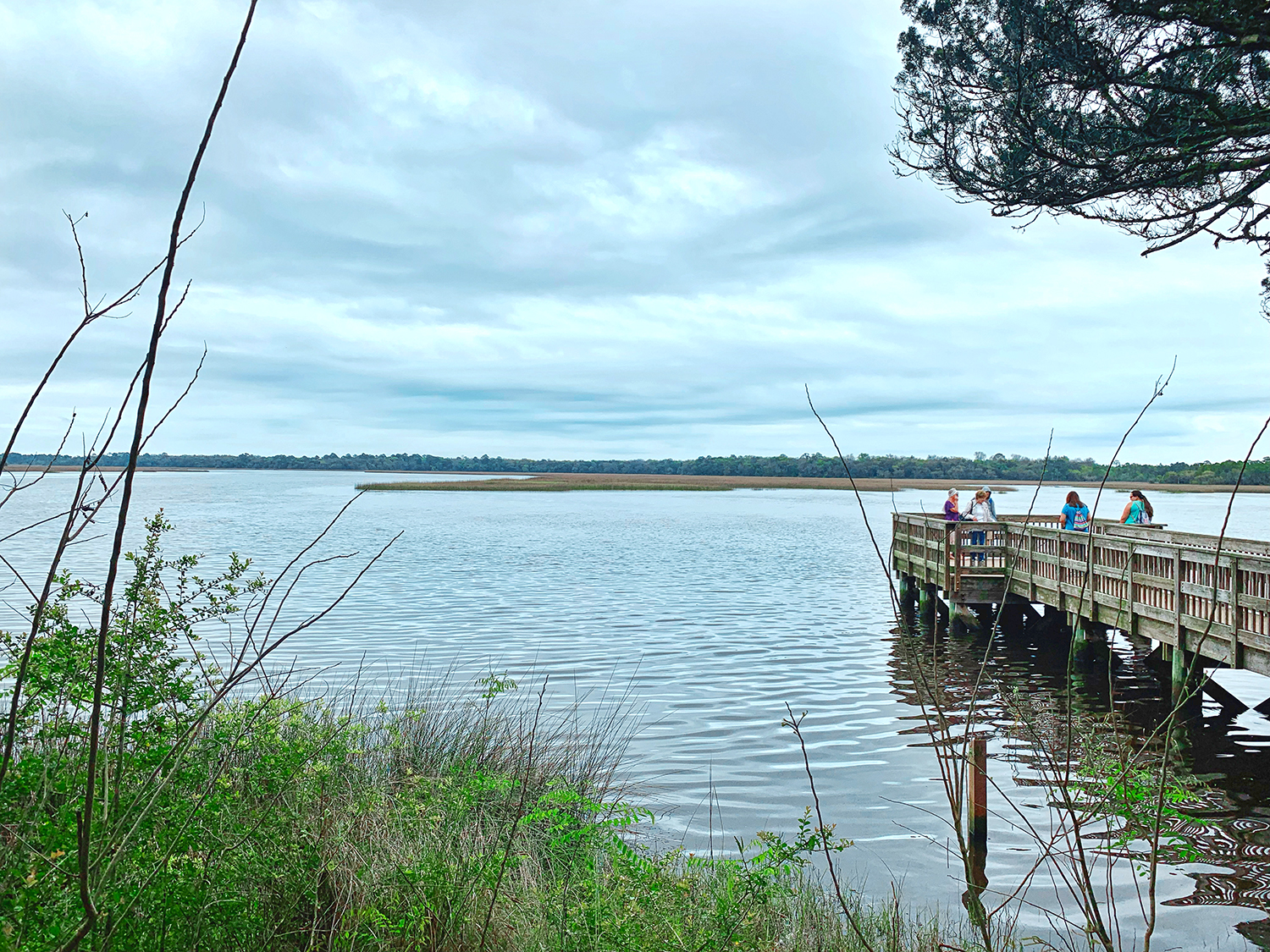 Betz-Tiger Point Preserve - Explore the St. Johns River