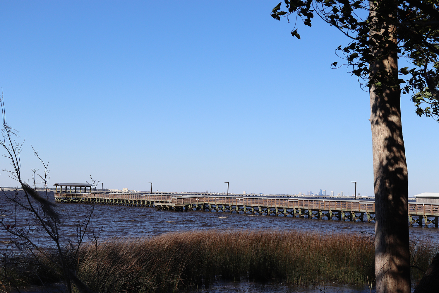 Walter Jones Historical Park - Explore the St. Johns River